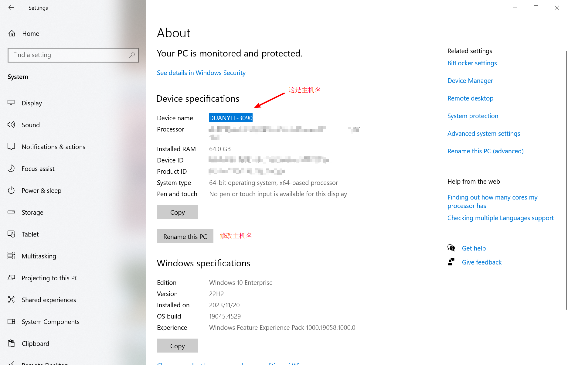 基于 WSL2 和 Docker 的深度学习环境指北 - duanyll