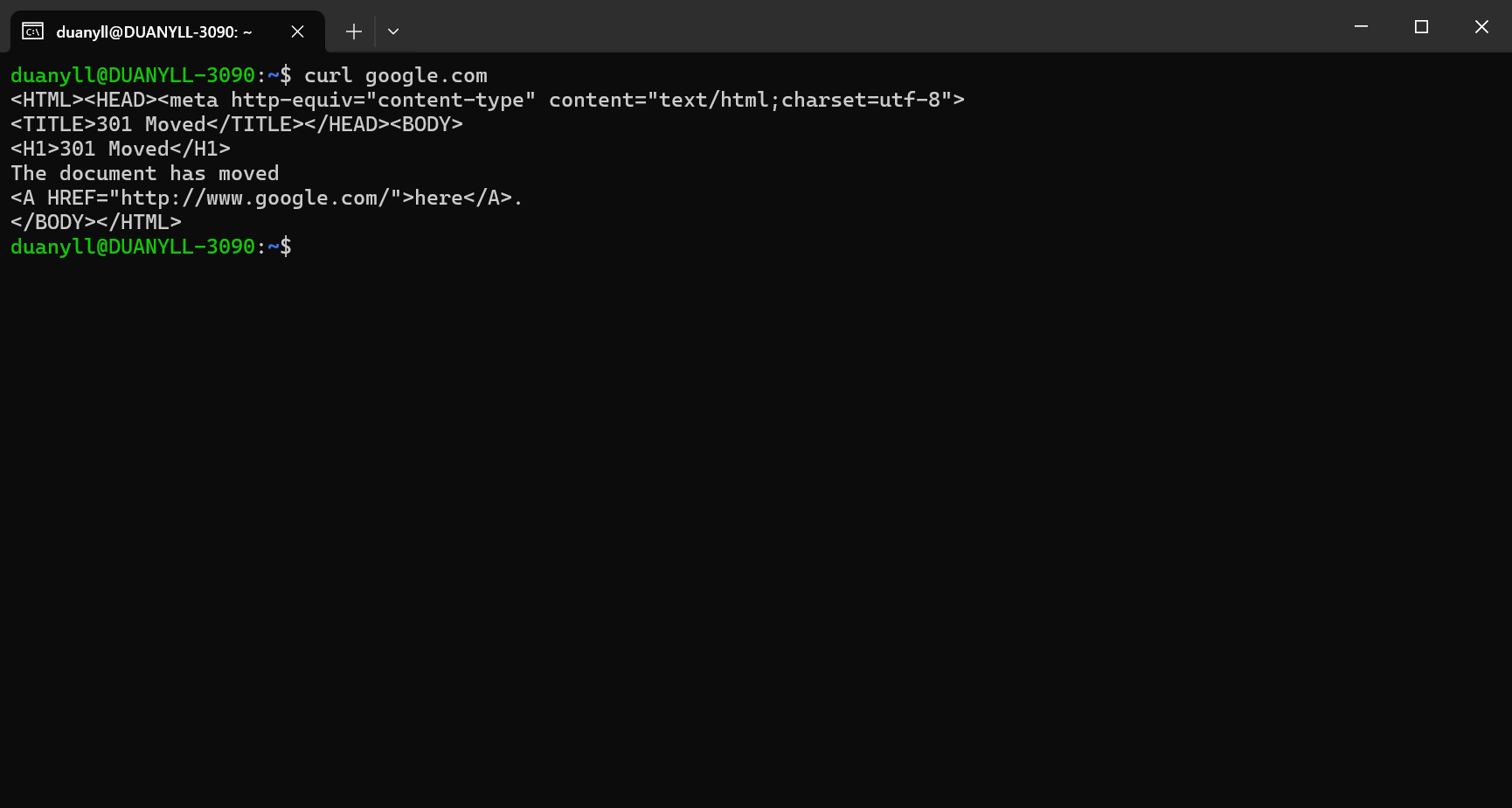 基于 WSL2 和 Docker 的深度学习环境指北 - duanyll