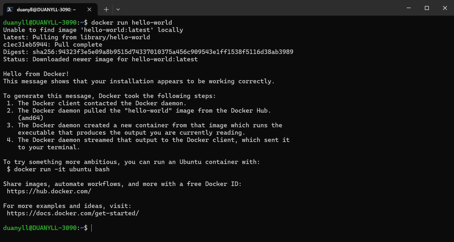 基于 WSL2 和 Docker 的深度学习环境指北 - duanyll