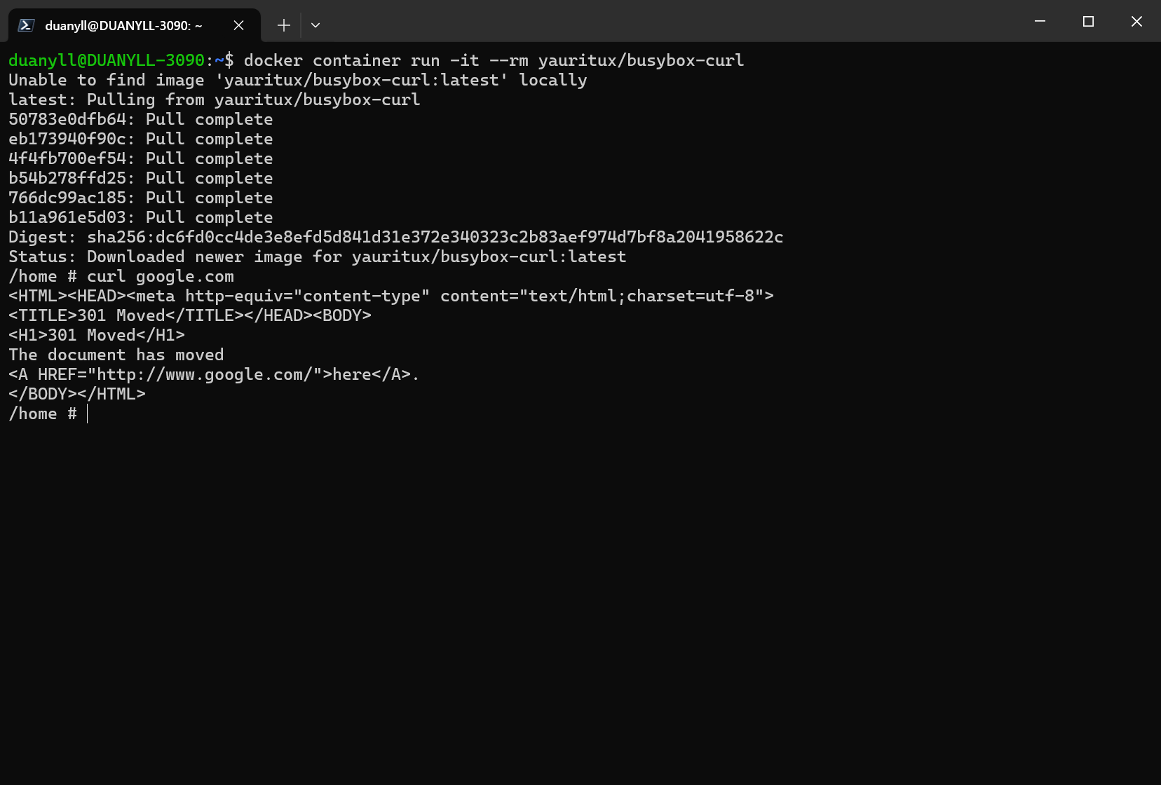基于 WSL2 和 Docker 的深度学习环境指北 - duanyll